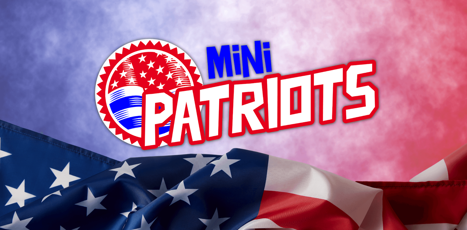 Order Your Let's Go Brandon Mini Patriot Now!